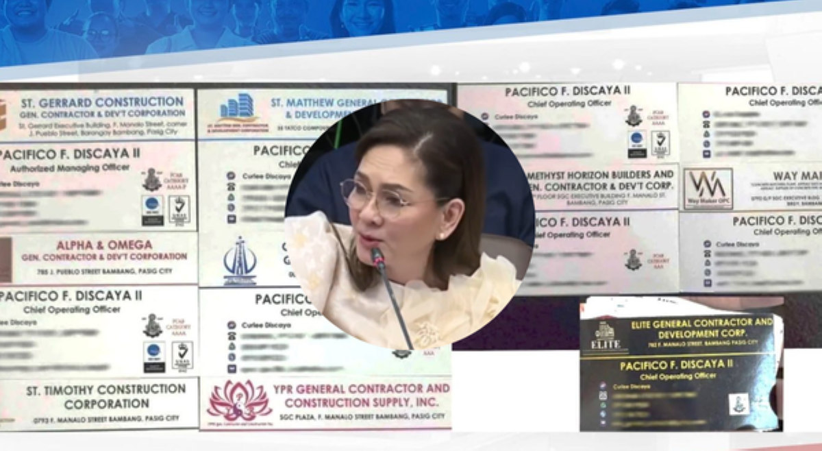 9 na umano'y construction firm ng mga Discaya, isiniwalat ni Hontiveros ...