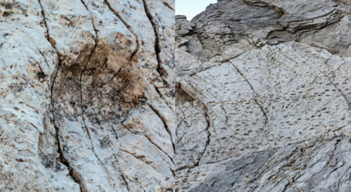 Isang maniniyot, nakunan ang mga dinosaur footprint sa Italy-Balita