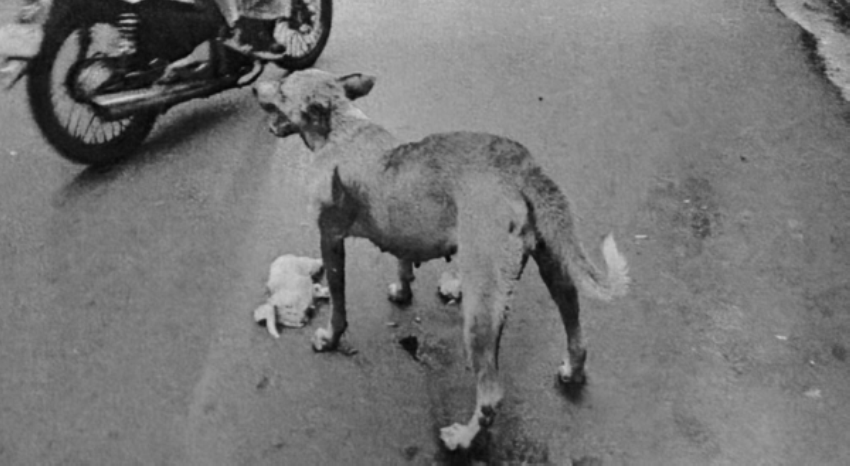 AKF, may ₱50k pabuya para sa makapagtuturo sa pumaslang sa isang aspin ...