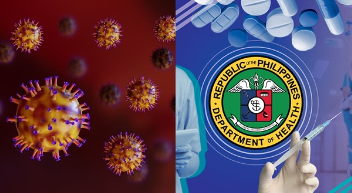 Don't worry! Pilipinas, handa sa Nipah virus—DOH-Balita