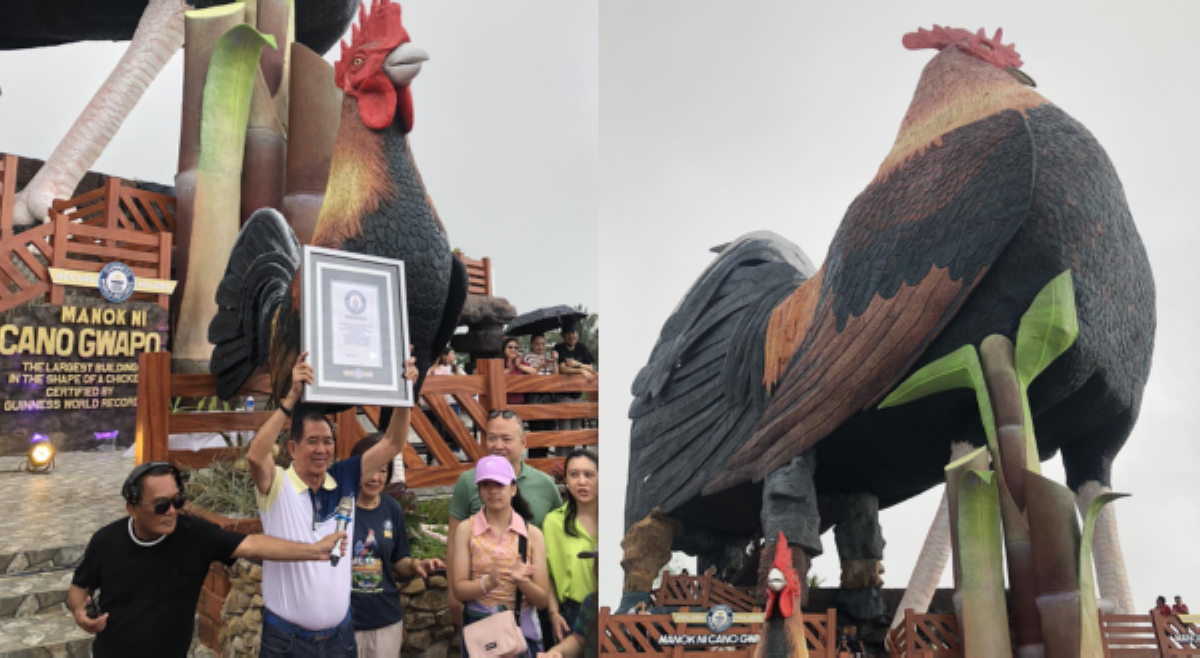 ‘Manok ni Cano Gwapo’ kinilala bilang pinakamalaki sa buong mundo-Balita